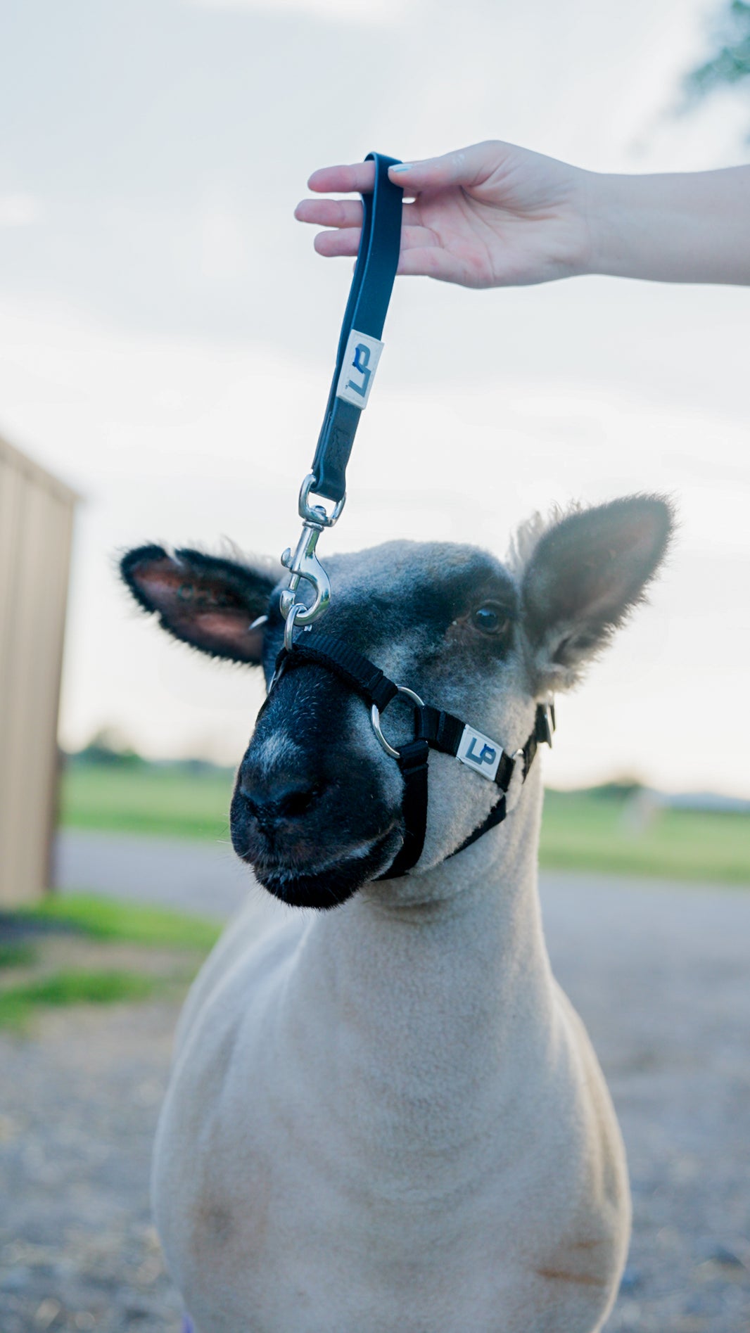 Parts – Livestock Performance Products