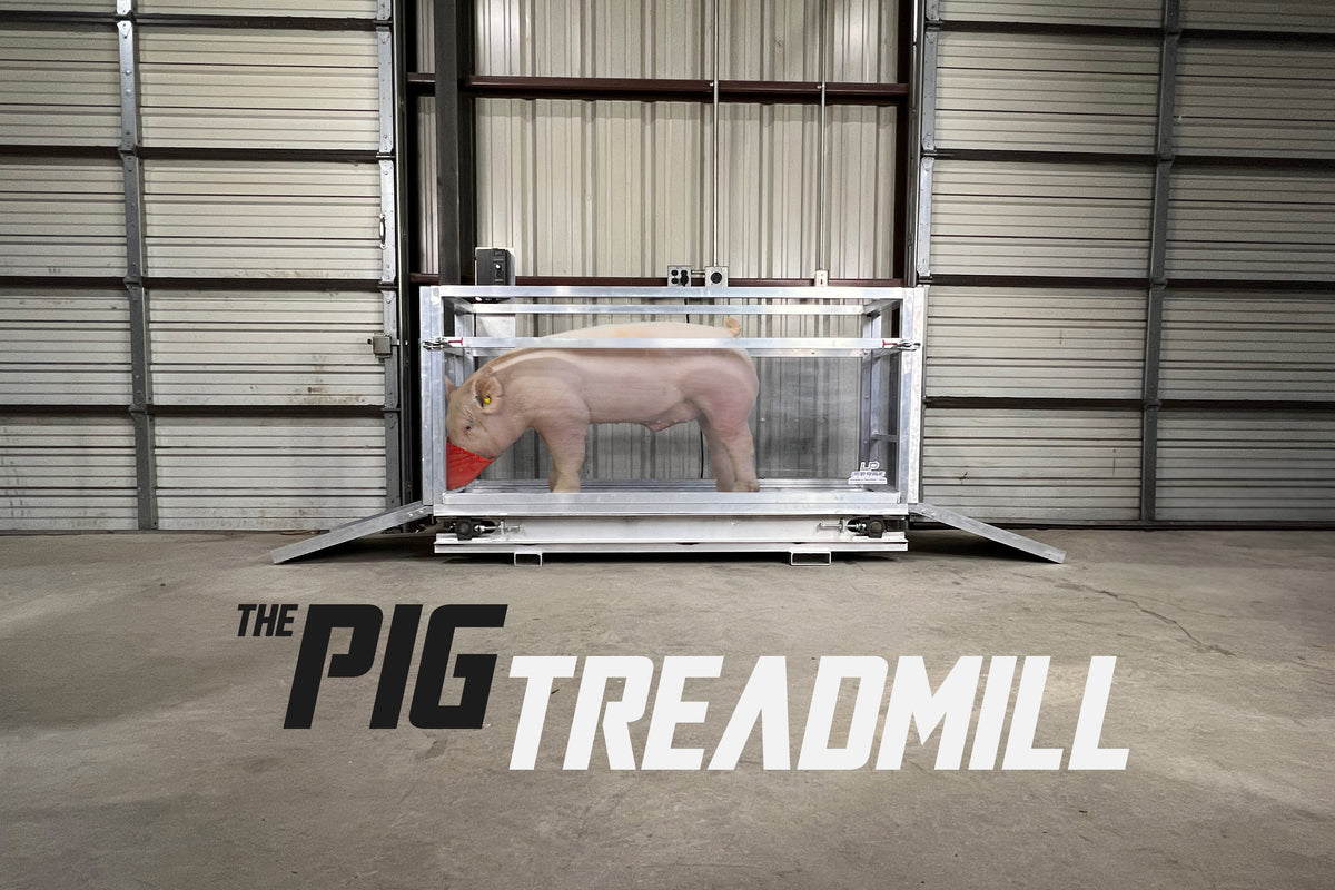 The Pig Treadmill – Livestock Performance Products